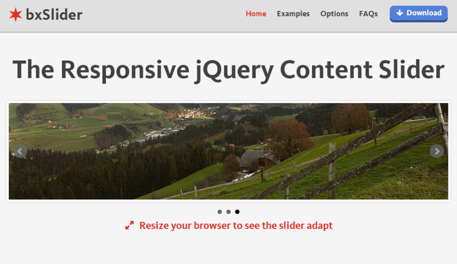 Youtubeなどの動画もスライドに出来る javascriptプラグイン bxSlider | 9ineBB